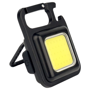 Keychain with light store